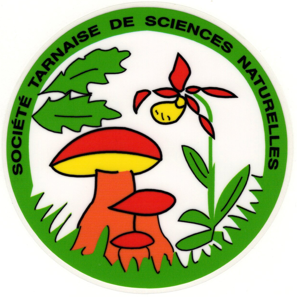 Séjour de la STSN en Andorre – Société botanique d'occitanie