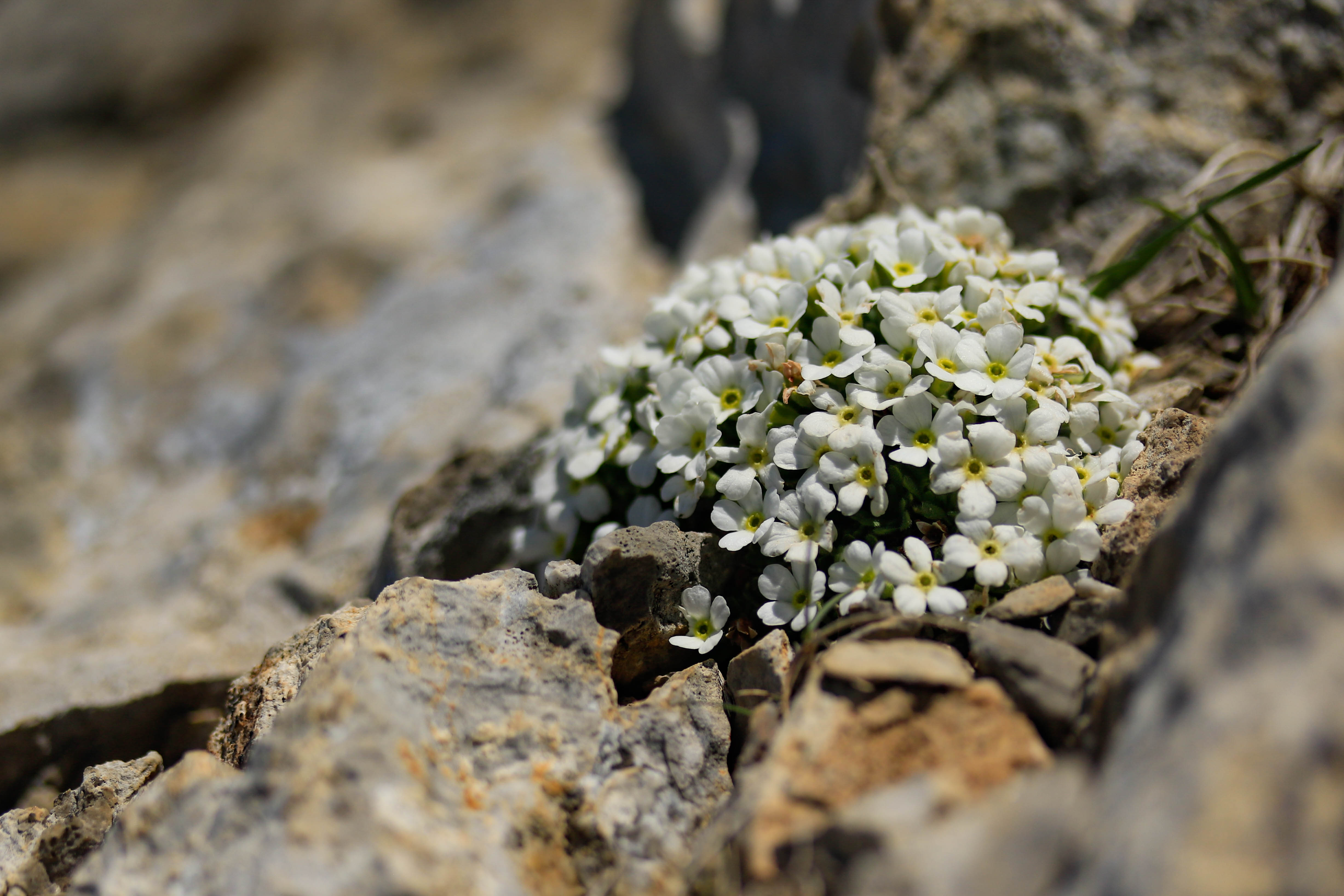 Carnets de montagne n° 7 : à la découverte des lapiaz du pic d’Anie, 25 ...